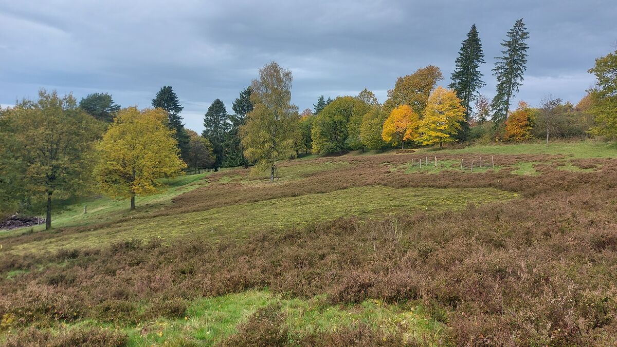 Förderung der Gemeinschaftsaufgabe Agrarstruktur und Küstenschutz (GAK ...
